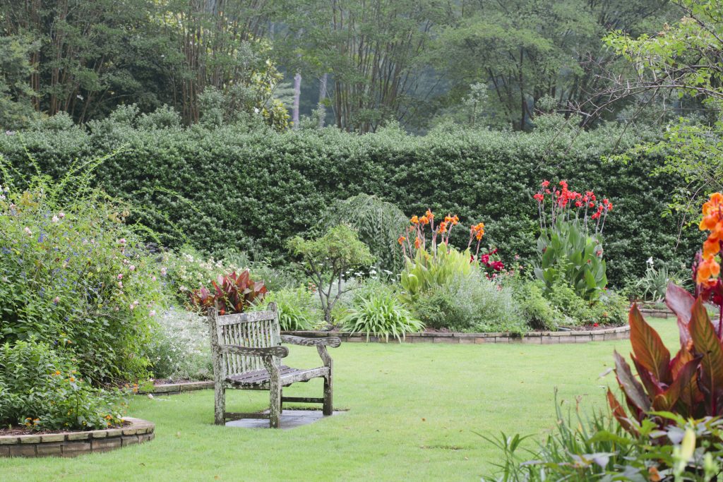 Ireland Old-Fashioned Rose Garden - Birmingham Botanical Gardens