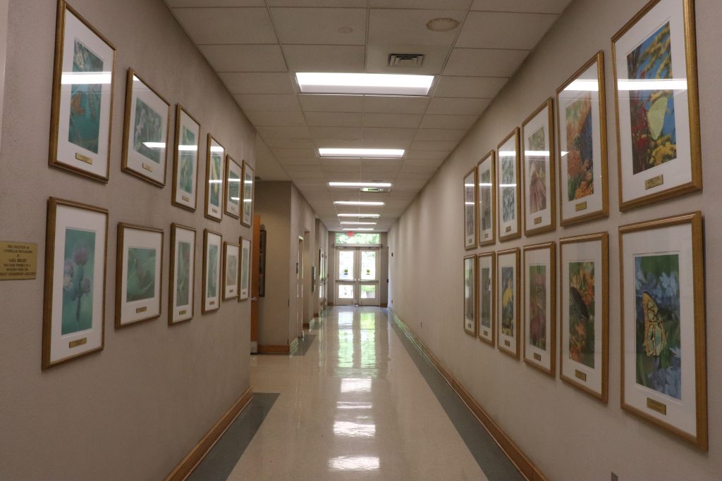 Education Hallway - Birmingham Botanical Gardens
