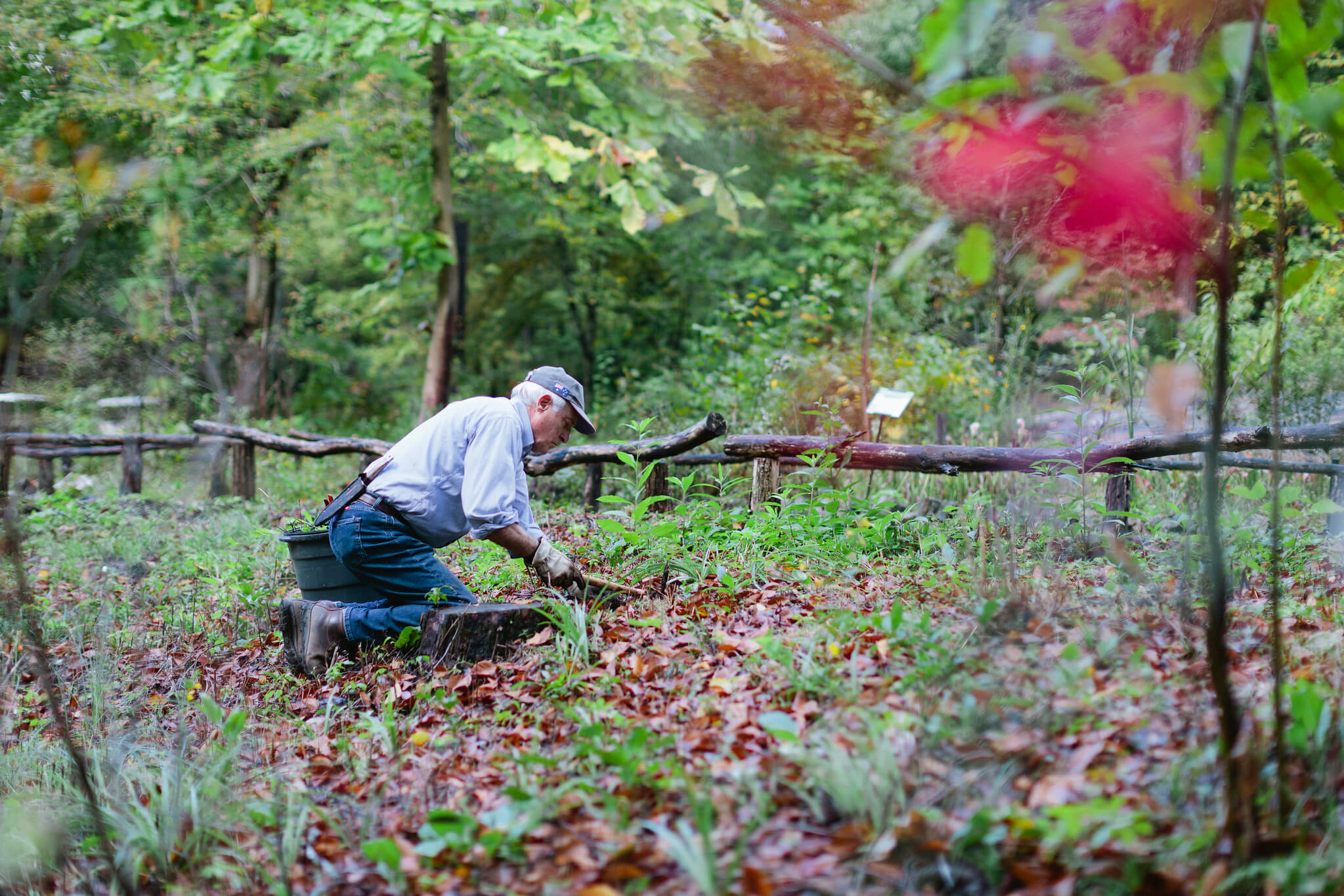 Giving Nature: Clearing the Way - Birmingham Botanical Gardens