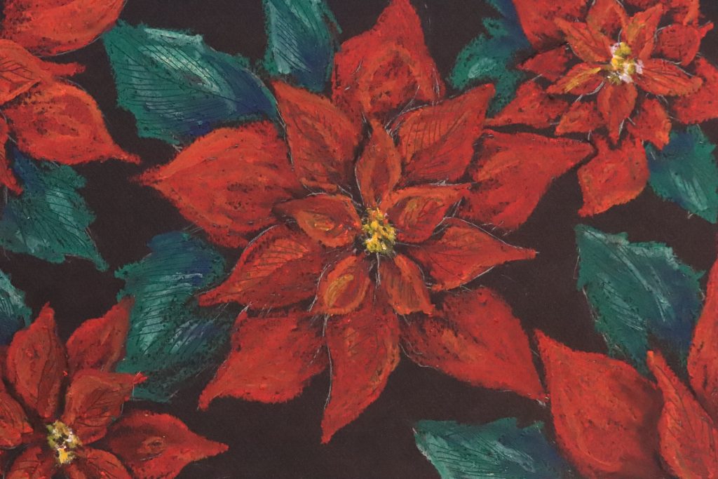 Poinsettia Pastels - Birmingham Botanical Gardens