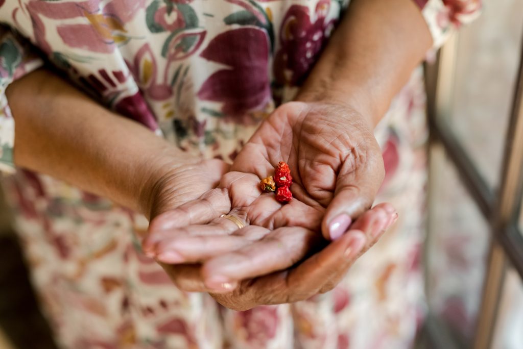 Community Seed Swap - Birmingham Botanical Gardens