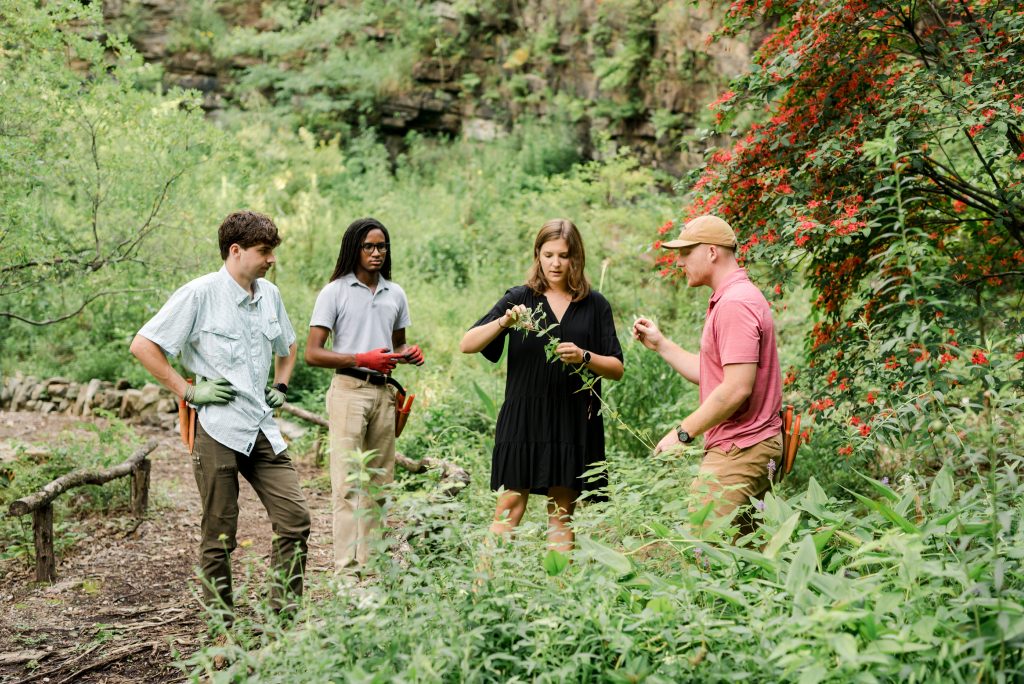 Interning at Birmingham Botanical Gardens - Birmingham Botanical Gardens