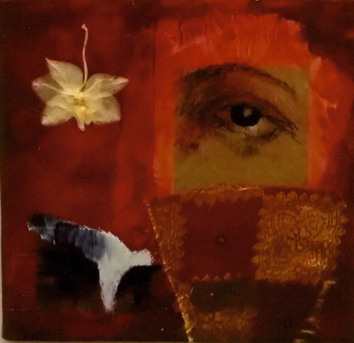 Art Gallery - Birmingham Botanical Gardens