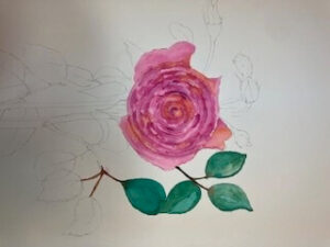 Art Gallery - Birmingham Botanical Gardens