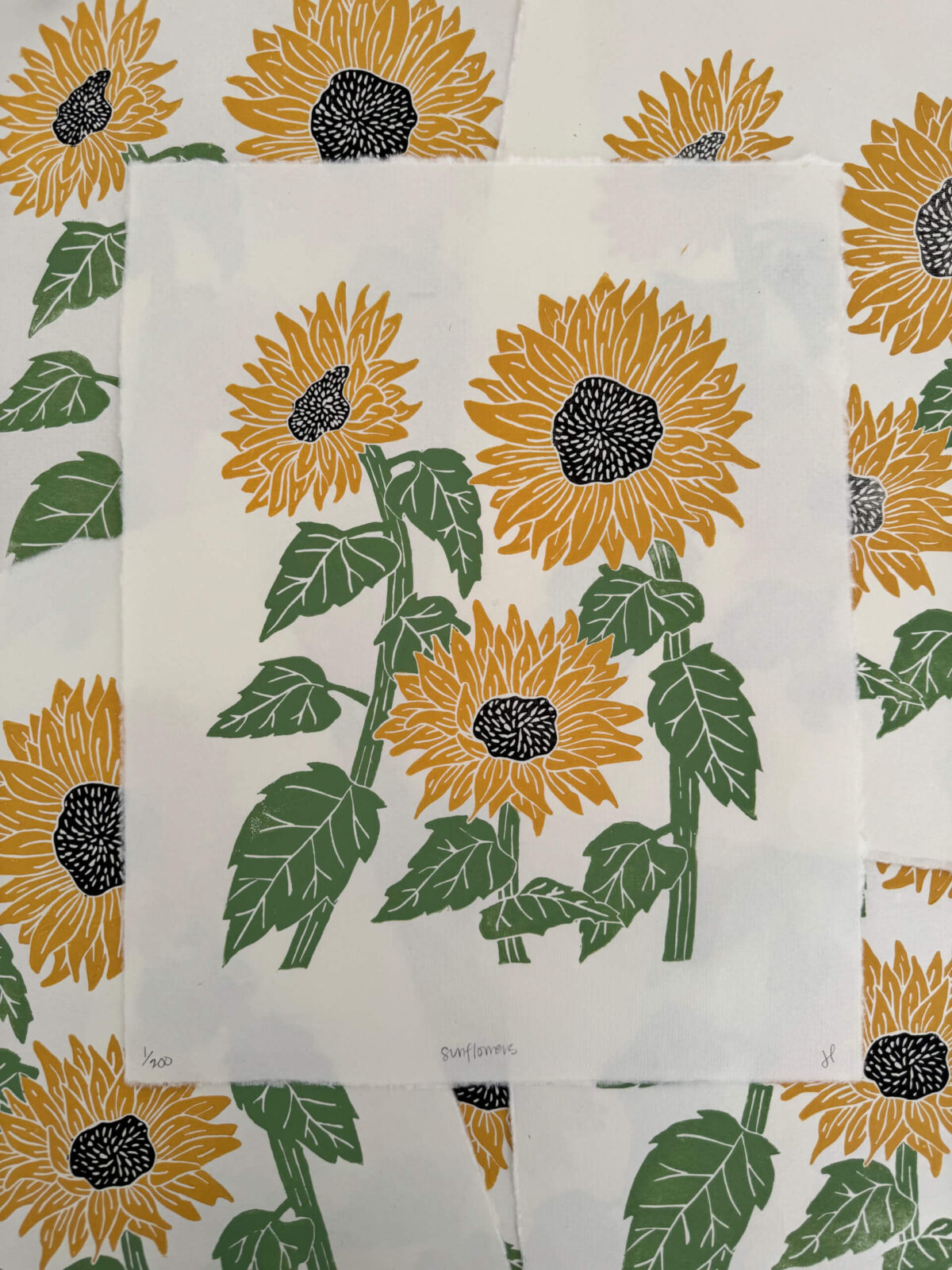 Art Gallery - Birmingham Botanical Gardens