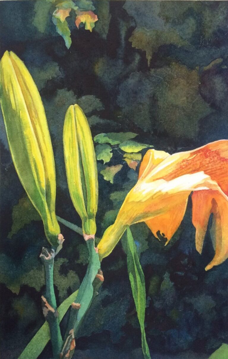 Art Gallery - Birmingham Botanical Gardens