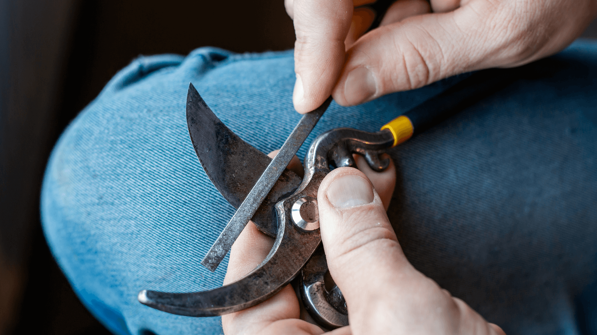 Programs & Events – Birmingham Botanical Gardens