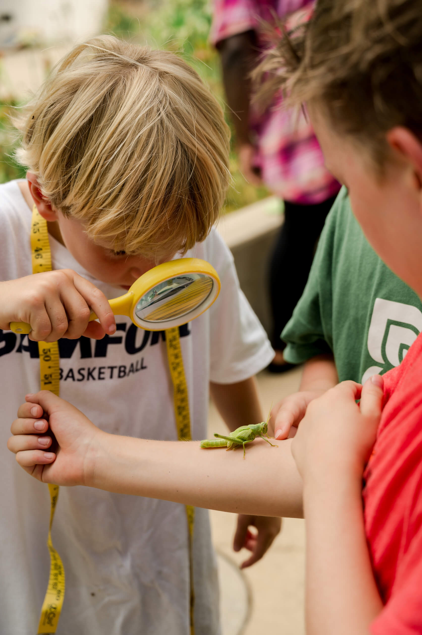 Bugs at Work - Birmingham Botanical Gardens